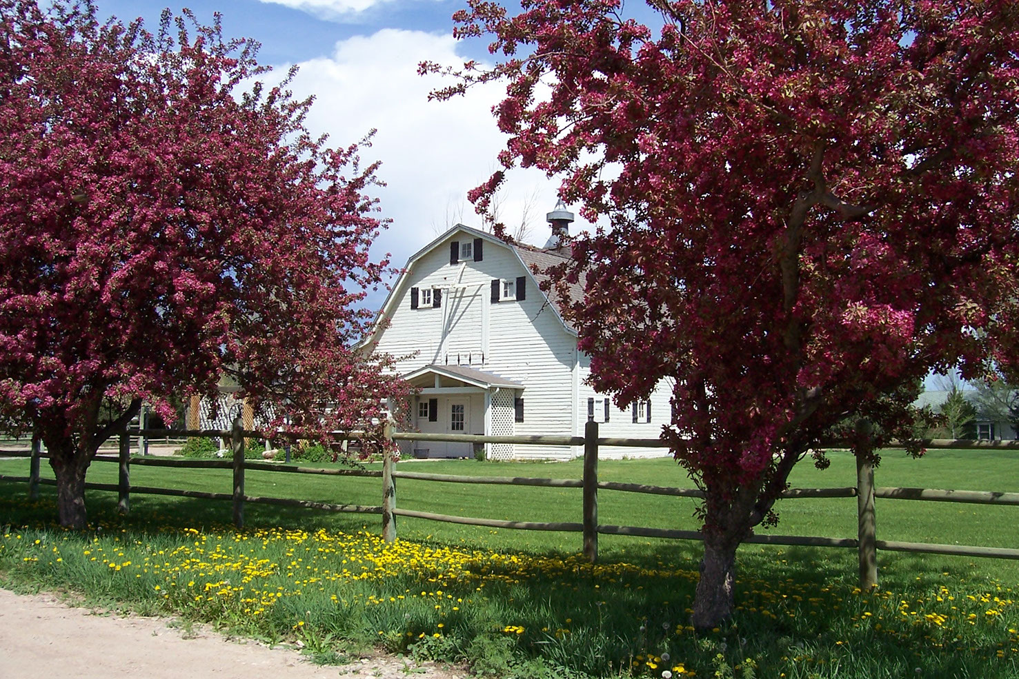 Home [stillrovenfarm.com]